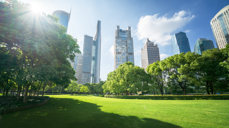 Studies Show That Workplaces with Green Spaces Increase Productivity